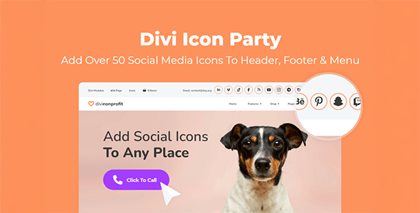 Buy Divi Icon Party: Just $8